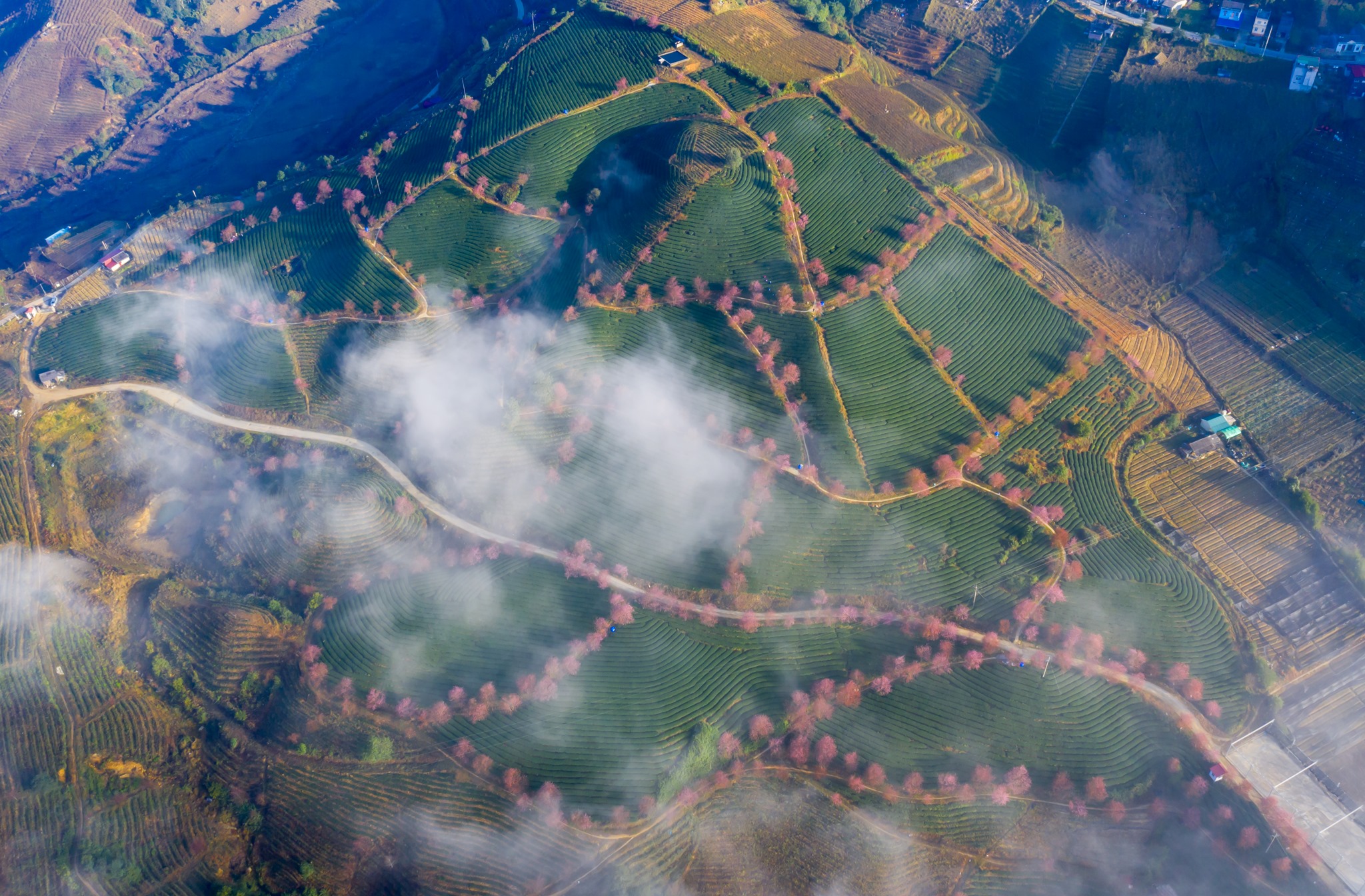 Sapa Tour - Elena Viet Nam Travel